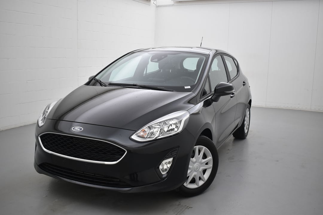 Ford Fiesta Business Class 85 Te Koop Aan De Laagste Prijs Cardoen ford-fiesta-business-class-85-te-koop-aan-de-laagste-prijs-cardoen
